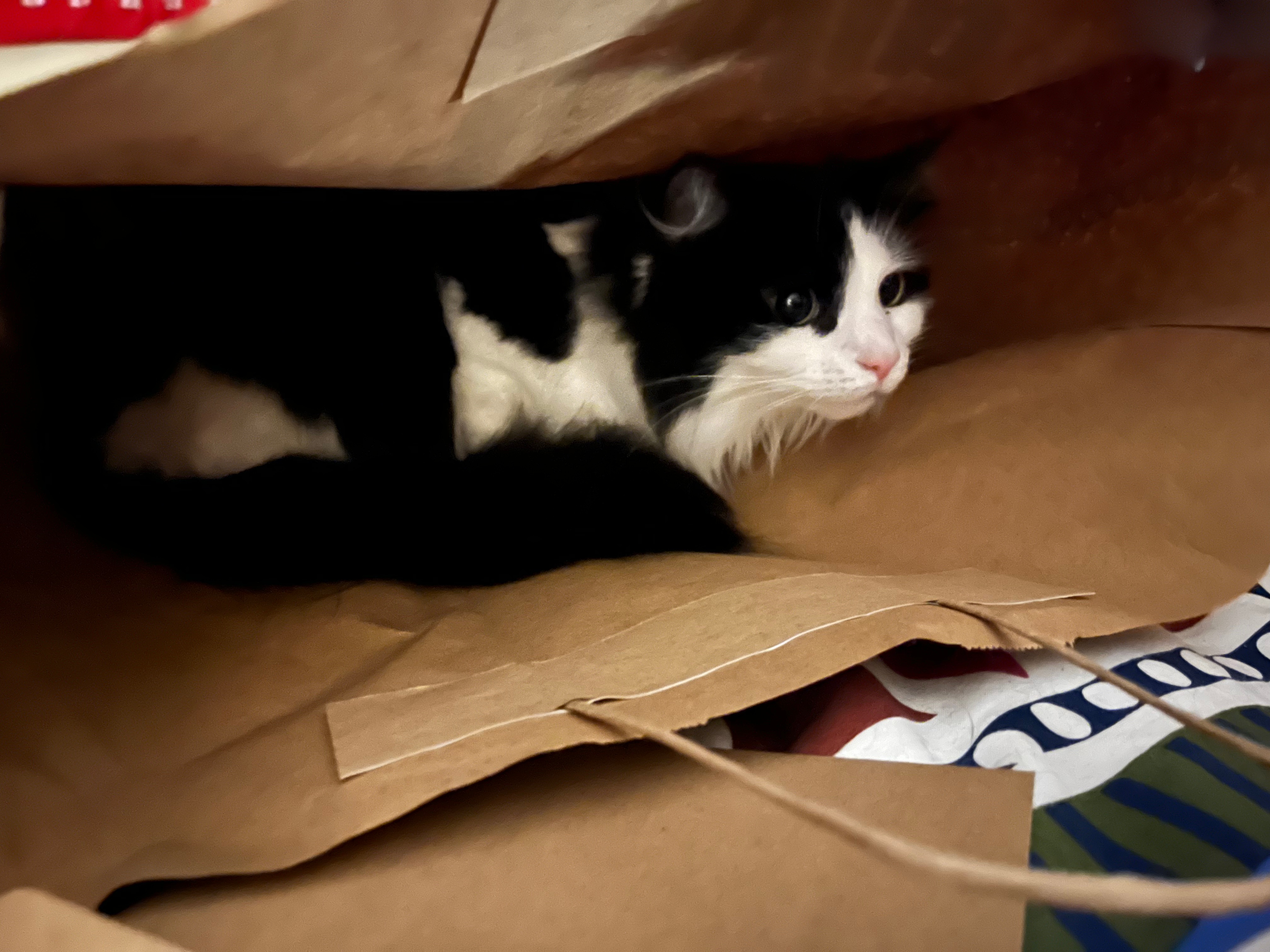 Do what you can, when you can | My Conversations